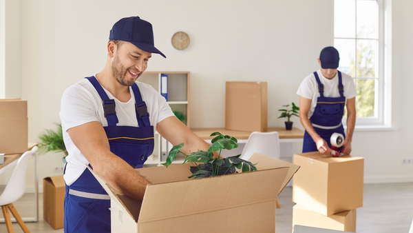 How to Pack Moving Boxes Like a Professional - The Moving Box Company